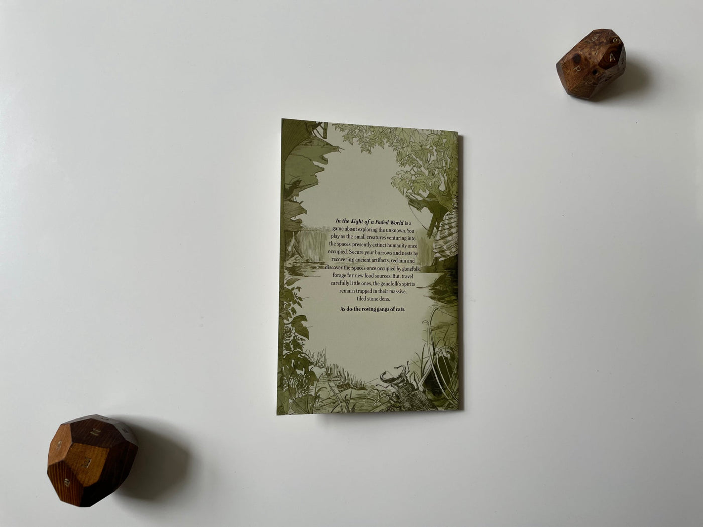 In the Light of a Faded World + PDF